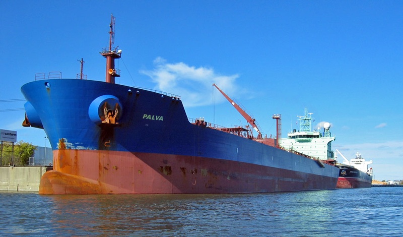 0808.2010.10-MT-Palva.01